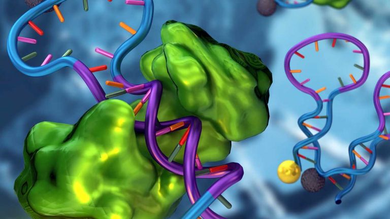 Research | Center for BioEngineering | UC Santa Barbara